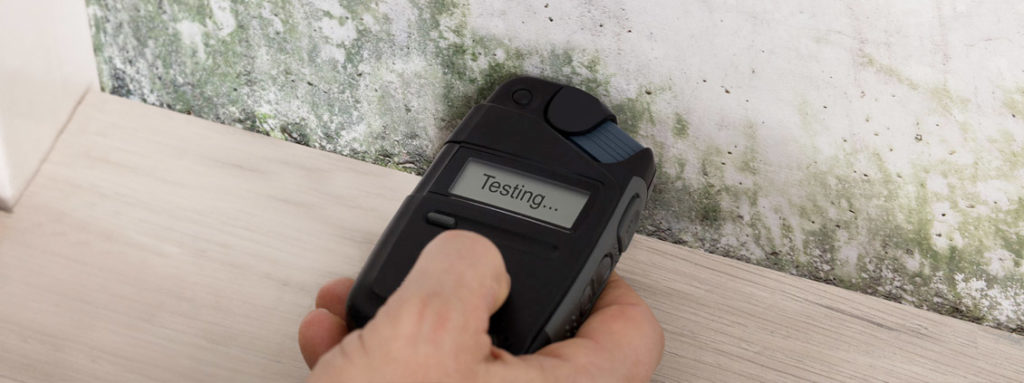 Mold Damage Repairs | Mag Property Adjusters